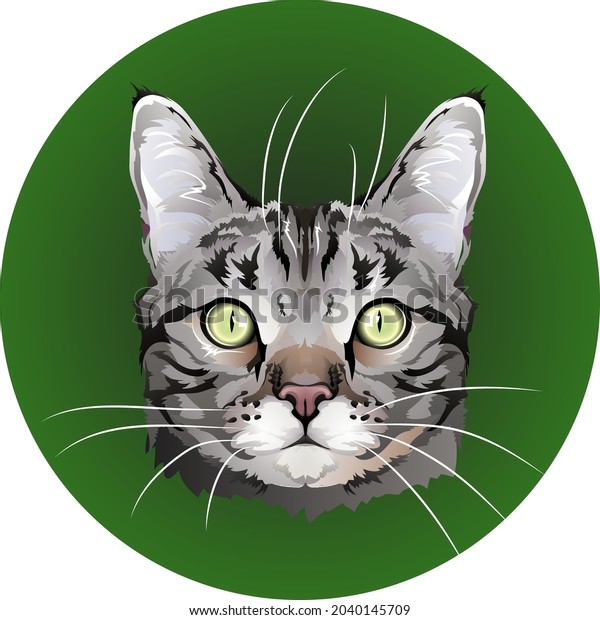 Vector Realistic Drawing Cats Head Stock Vector (Royalty Free ...