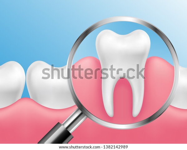 Vector Realistic Healthy Teeth Magnifying Glass Stock Vector (Royalty ...