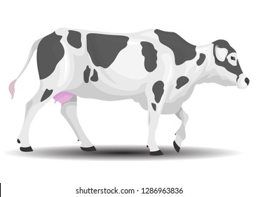 Vector Realistic Holstein Friesian Cattle Vector Stock Vector (Royalty ...