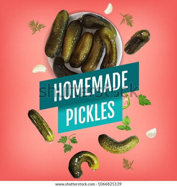 Vector Realistic Illustration Pickled Cucumber Poster Stock Vector ...