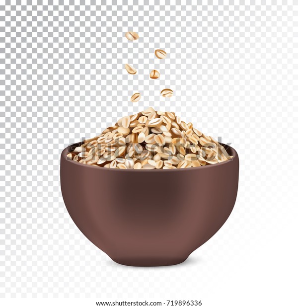 Vector Realistic Isolated Illustration Oatmeal Muesli Stock Vector ...