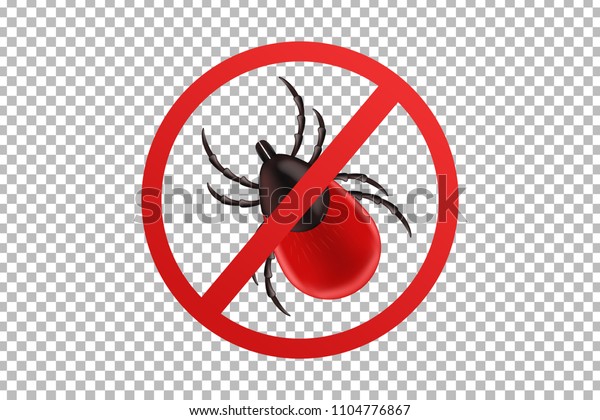 Vector Realistic Isolated Ixodes Tick Insects Stock Vector (Royalty ...