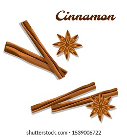 Vector Realistic Isolated Set Drawings Cinnamon Stock Vector (Royalty ...