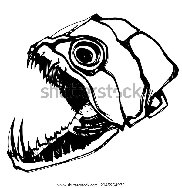 Vector Realistic Line Art Freehand Drawing Stock Vector (Royalty Free ...