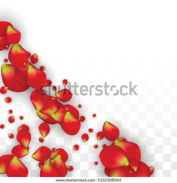 Vector Realistic Red Rose Petals Falling Stock Vector (Royalty Free ...