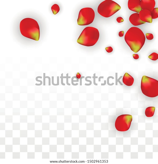 Vector Realistic Red Rose Petals Falling Stock Vector (Royalty Free ...