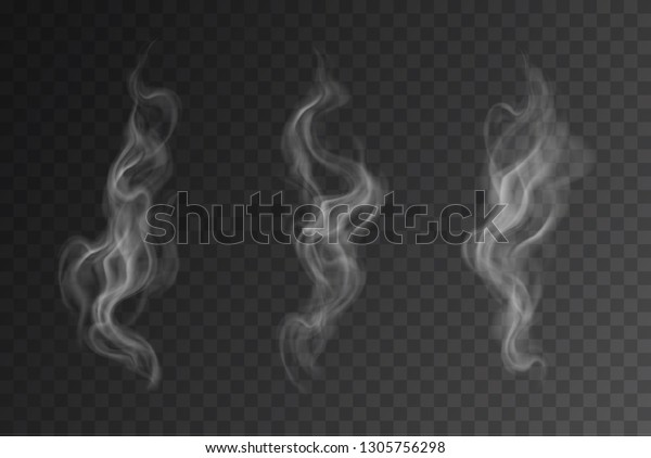 Vector Realistic Smoke Steam Set Isolated Stock Vector (Royalty Free ...