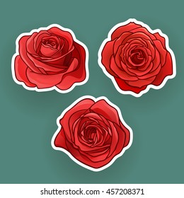 Vector Red Roses Sticker Set On Stock Vector (Royalty Free) 457208371 ...