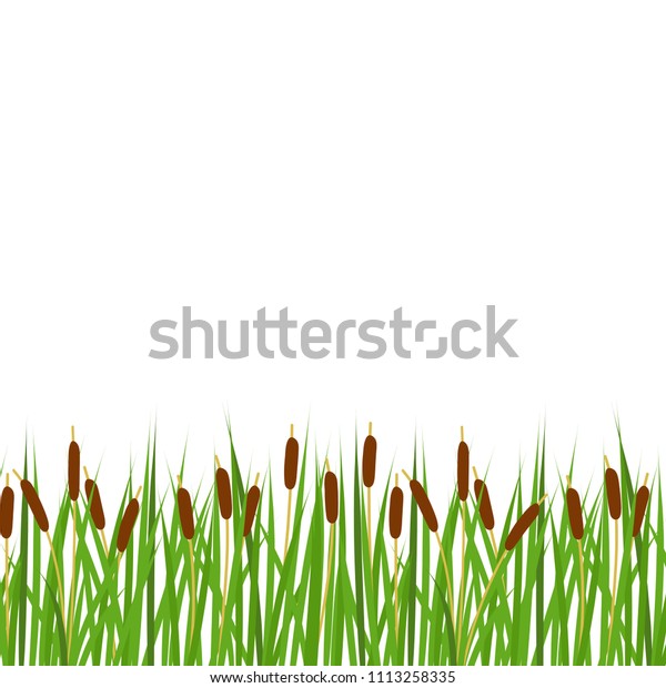 Vector Reeds Border Reeds Horizontal Border Stock Vector (Royalty Free ...