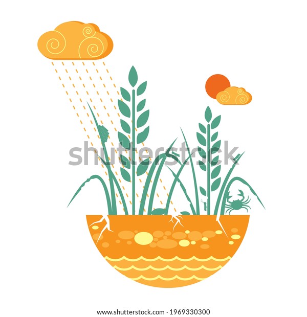 Vector Rice Pest Icon Crab Planthopper Stock Vector (Royalty Free ...