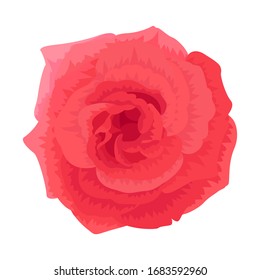 Vector Rose Flower Clip Art On Stock Vector (Royalty Free) 1683592960 ...