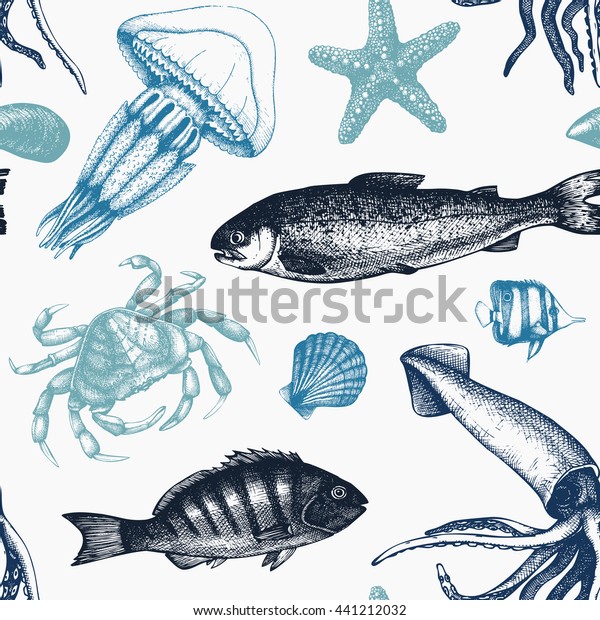 Vector Sea Life Background Hand Drawn Stock Vector (Royalty Free) 441212032