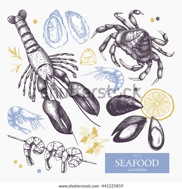 Vector Seafood Illustrations Set Hand Drawn Stock Vector (Royalty Free ...