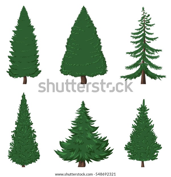 Vector Set 6 Cartoon Pine Trees Stock Vector (Royalty Free) 548692321