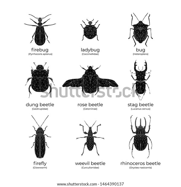 Vector Set Black Bugs Beetles Low Stock Vector (Royalty Free) 1464390137