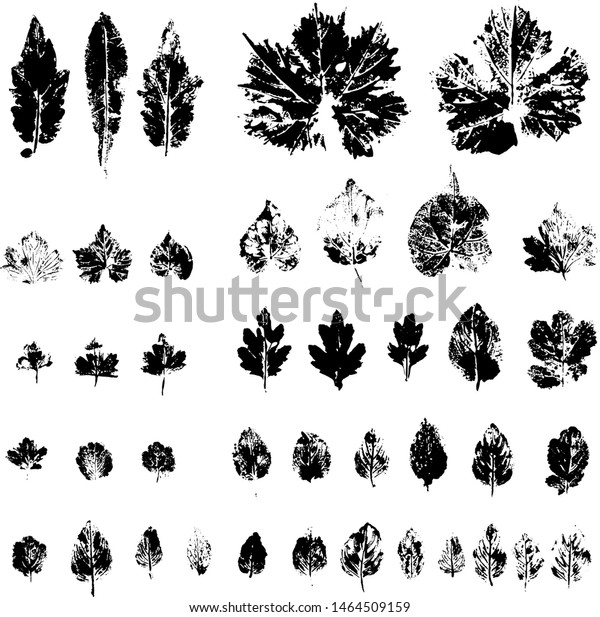 Vector Set Black Stamp Leaves On Stock Vector (Royalty Free) 1464509159 ...