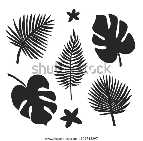 Vector Set Bundle Hand Drawn Palm Stock Vector (Royalty Free ...