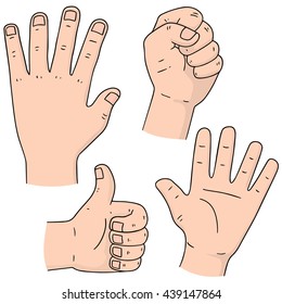 11,089 Wrist cartoon Stock Illustrations, Images & Vectors | Shutterstock