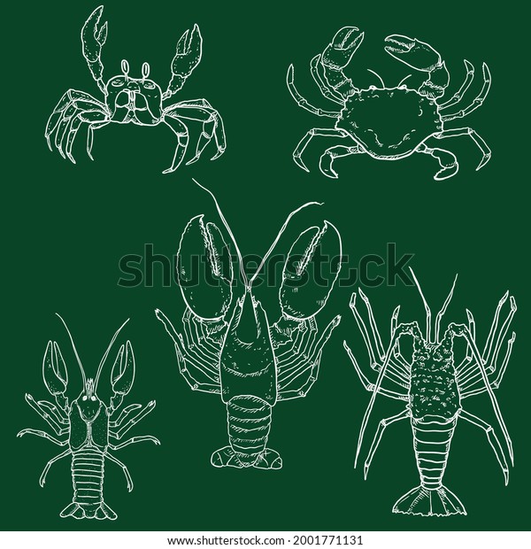 Vector Set Chalk Sketch Sea Animals Stock Vector (Royalty Free) 2001771131