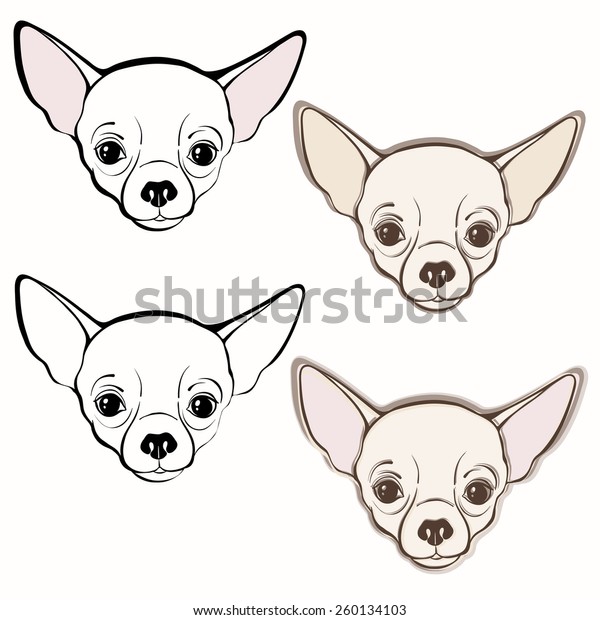 Vector Set Chihuahuas Face Handdrawn Vector 스톡 벡터(로열티 프리) 260134103 ...