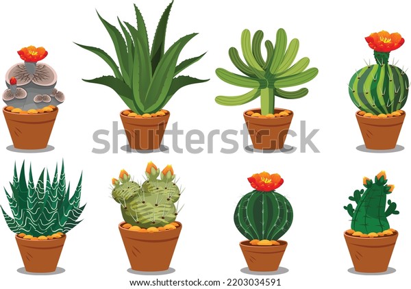 Vector Set Colorful Cactus Plants Colored Stock Vector (Royalty Free ...