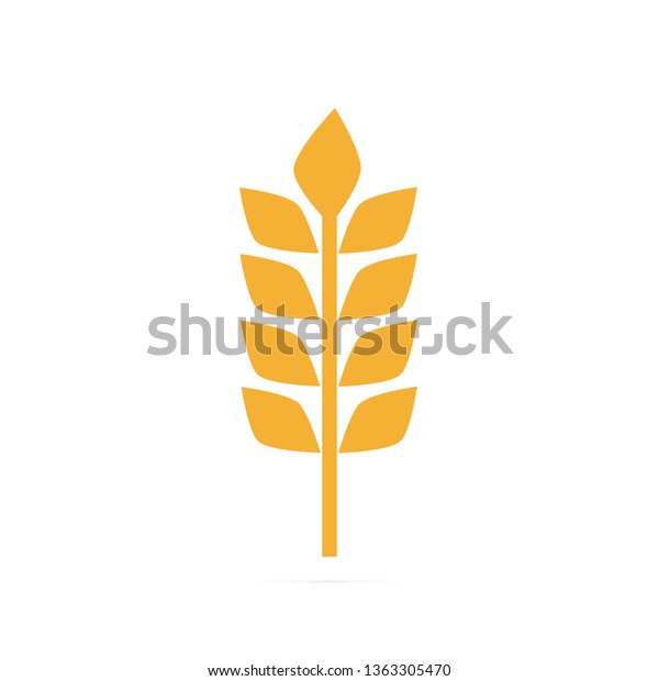 Vector Set Colorful Realistic Isolated Wheat Stock Vector (Royalty Free ...