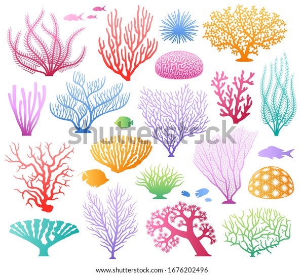 Vector Set Corals Bright Sea Elements Stock Vector (Royalty Free ...