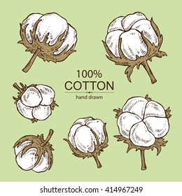 Vector Set Hand Draw Ink Cotton Stock Vector (Royalty Free) 677008225