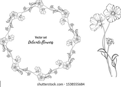 Vector Set Delicate Flowers Graphic Botanical Stock Vector (Royalty ...