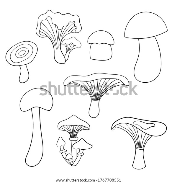 Vector Set Edible Mushrooms Coloring Page Stock Vector (Royalty Free ...