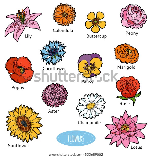 Vector Set Flowers Color Stickers Stock Vector (Royalty Free) 533689552 ...