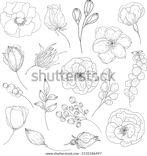 Vector Set Flowers Minimalist Contour Drawinghanddrawn: Stockvektorkép ...