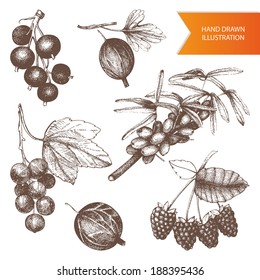 3,606 Mulberry draw Images, Stock Photos & Vectors | Shutterstock
