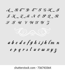 Vector Set Handwritten Alphabet Letters Handcrafted Stock Vector ...