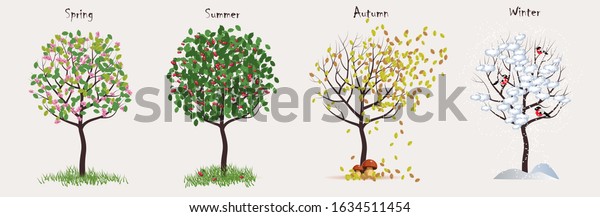 70,312 Cycle Of The Seasons Images, Stock Photos & Vectors | Shutterstock