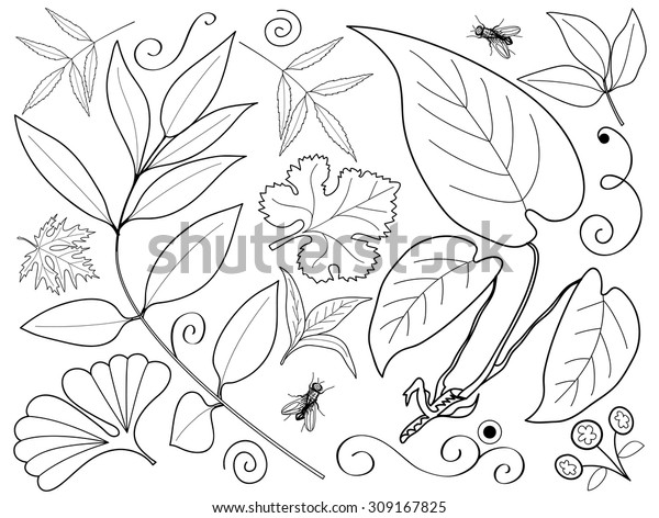 Vector Set Leaves Branches Swirls Insects Stock Vector (Royalty Free ...
