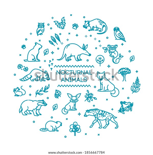 Vector Set Linear Vector Nocturnal Animals Stock Vector (Royalty Free ...