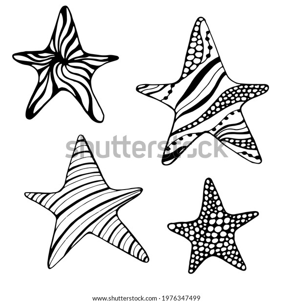 Vector Set Sea Stars Line Drawing Stock Vector (Royalty Free ...