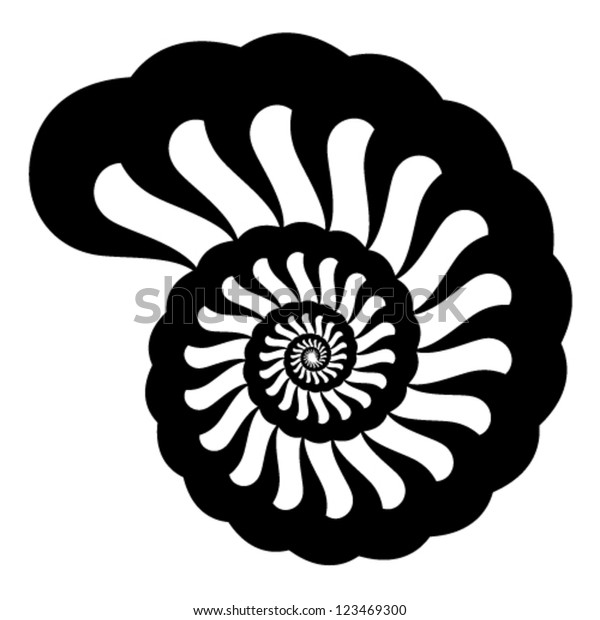 silueta de concha vectorial: vector de stock (libre de regalías ...