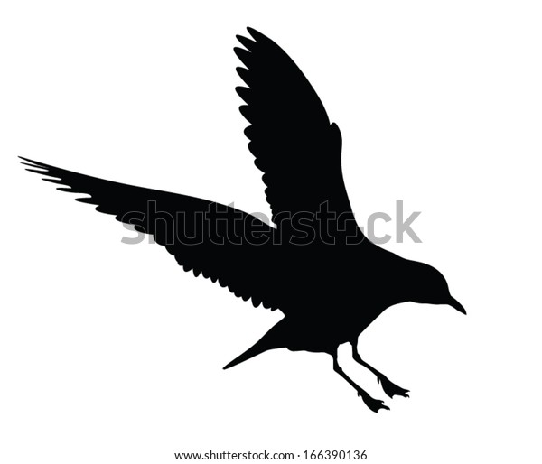 Vector Silhouette Bird Landing Posture Stock Vector (Royalty Free ...