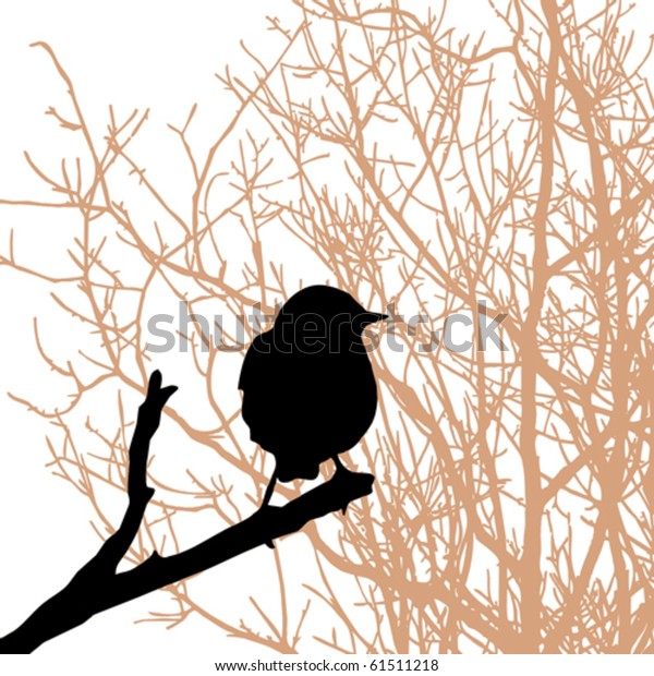 Vector Silhouette Bird On Branch Stock Vector (Royalty Free) 61511218 ...