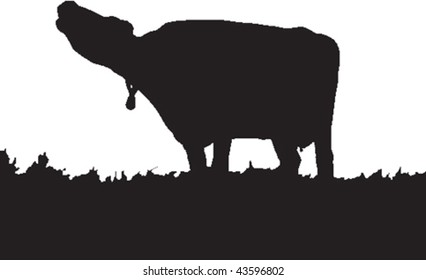 10,707 Cow mooing Images, Stock Photos & Vectors | Shutterstock