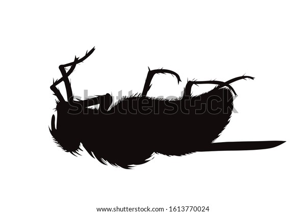 Vector Silhouette Death Fly On White Stock Vector (Royalty Free ...