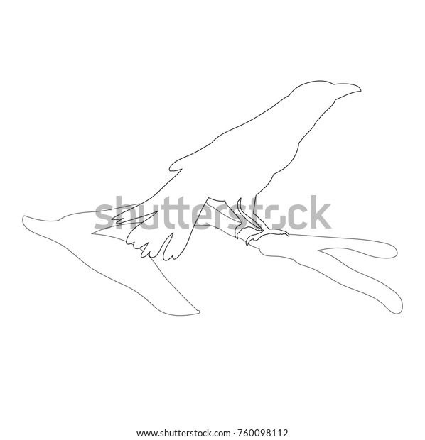 Vector Silhouette Ravens Sketch Outlines Stock Vector (Royalty Free ...