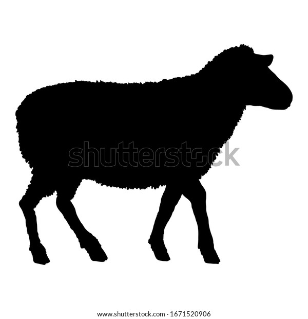 Vector Silhouette Sheep Illustration Side View Stock Vector (Royalty ...