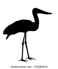 66 Jabiru silhouette Images, Stock Photos & Vectors | Shutterstock