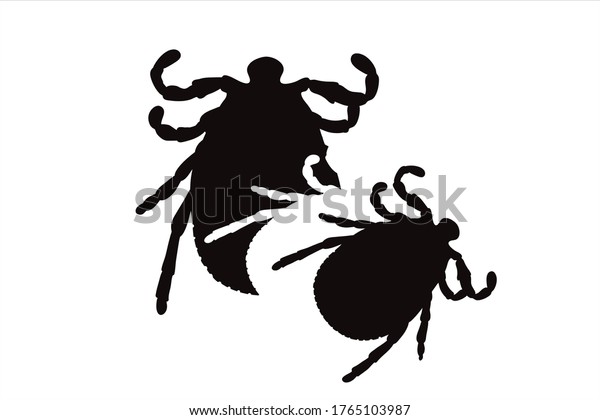Vector Silhouette Tick Symbol Insect Stock Vector (Royalty Free ...