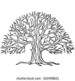 Round Tree Outline Object Outdoor Stock Vector (Royalty Free) 1693782562