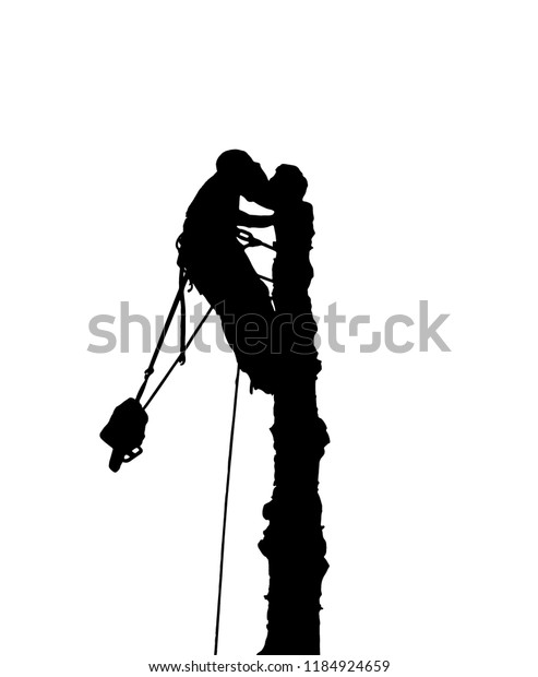 Vector Silhouette Tree Surgeon Top Tree Stock Vector (Royalty Free ...