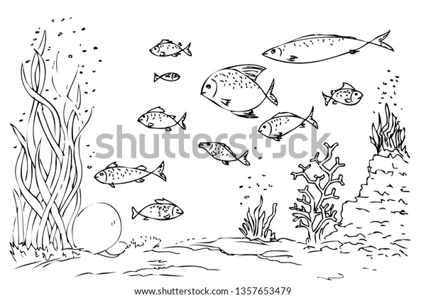 Vector Simple Hand Draw Sketch Sea Stock Vector (Royalty Free) 1357653479